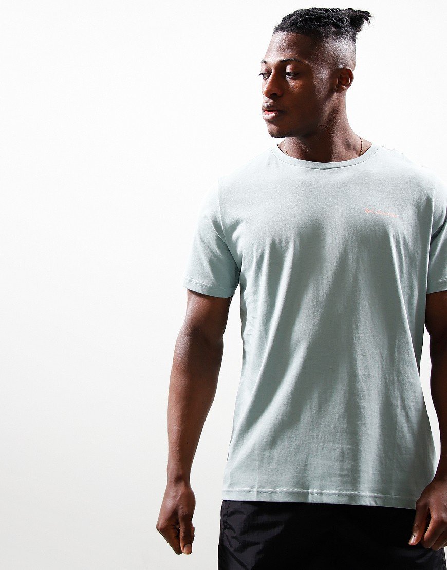 Columbia Rapid Ridge Back T-Shirt Niagara Tonal Tree - Terraces Menswear