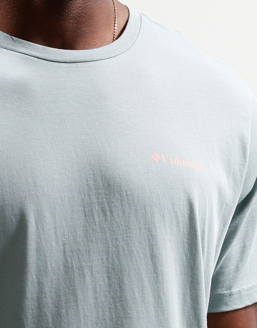 Columbia Rapid Ridge Back T-Shirt Niagara Tonal Tree - Terraces Menswear
